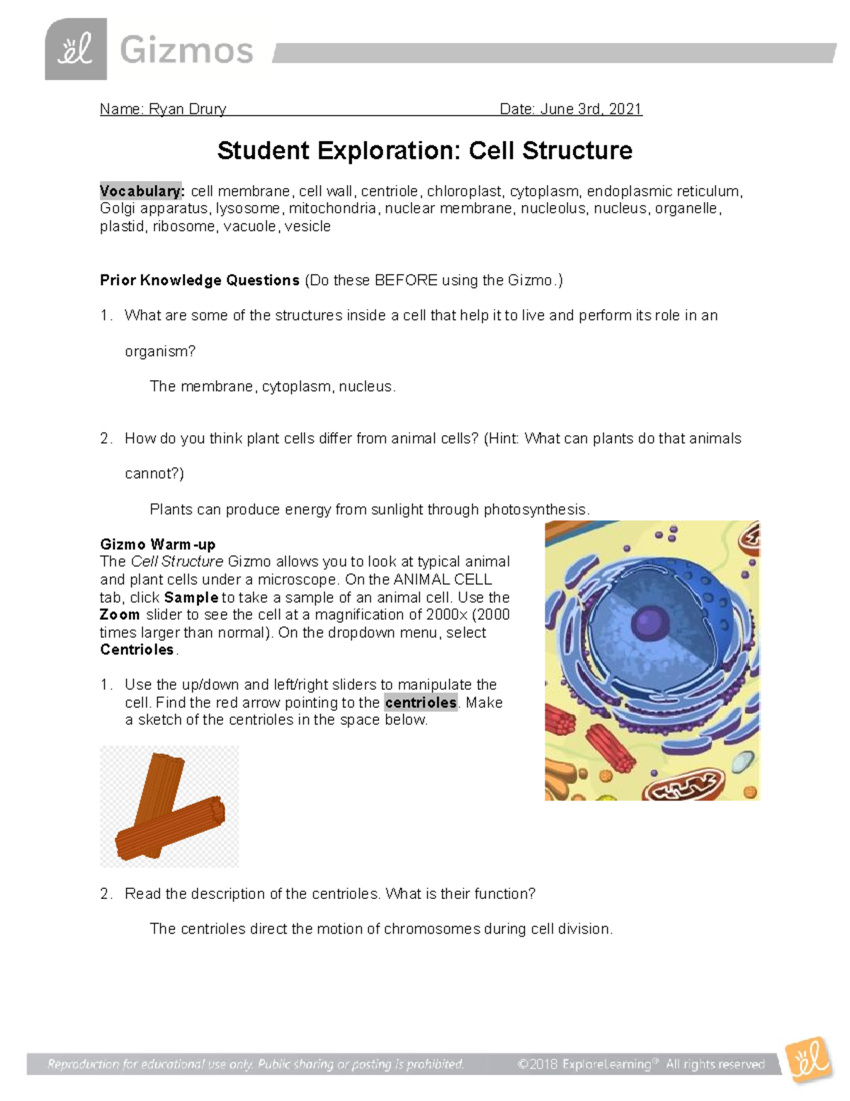 Cell Structure SE - Digestive system gizmo lab science - 2018 Name ...