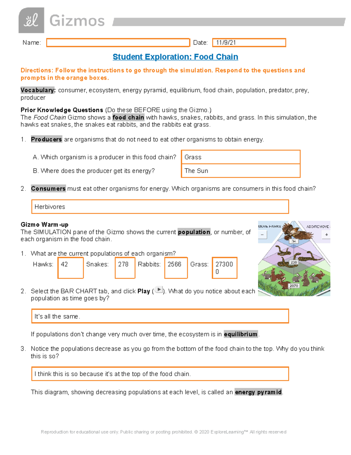 Gizmo Food Chain - This is very important. Use this very wisely. You'll ...