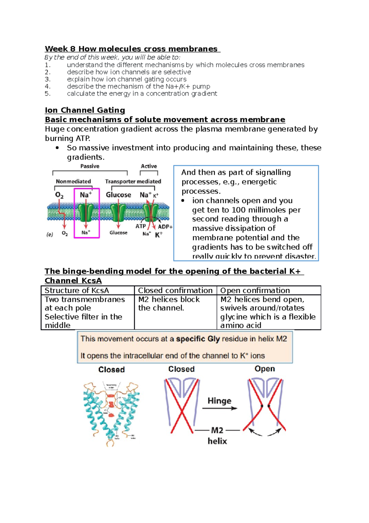 Week 8 How molecules cross membranes - Week 8 How molecules cross ...