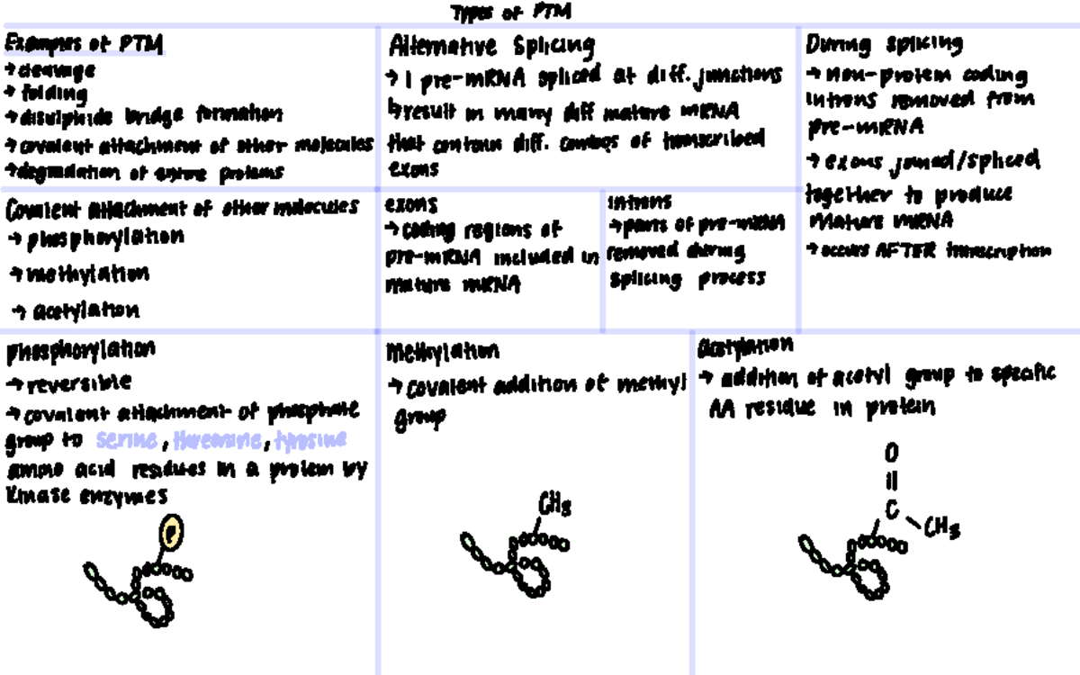 Post translational modifications - ####### Types of PTM Examples of PTM ...