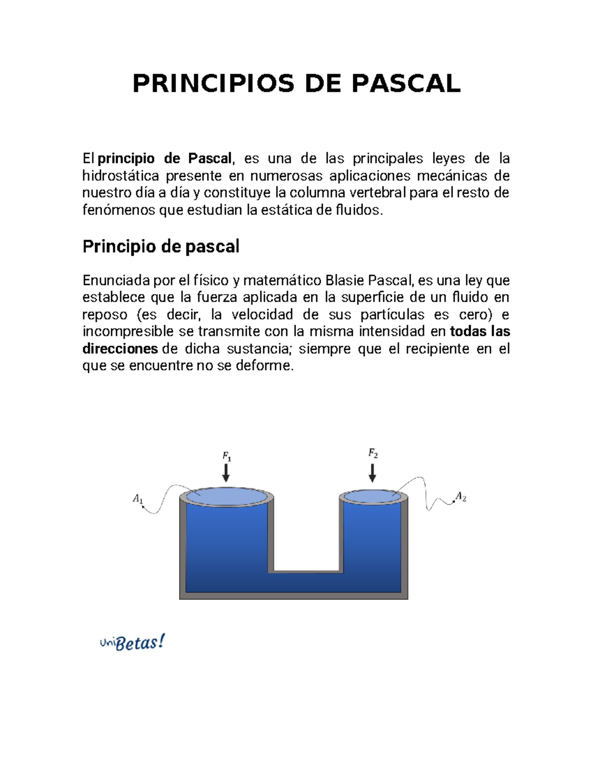 Principios DE Pascal - PRINCIPIOS DE PASCAL El principio de Pascal, es ...