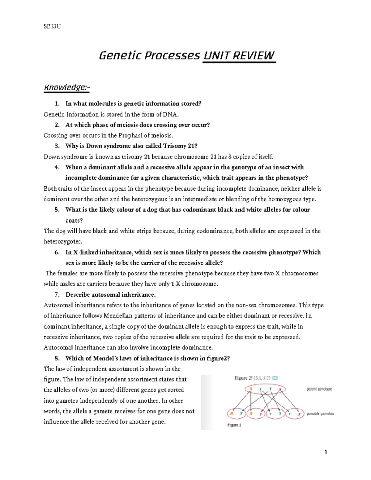 Genetic Processes UNIT Review - Genetic Processes UNIT REVIEW Knowledge ...