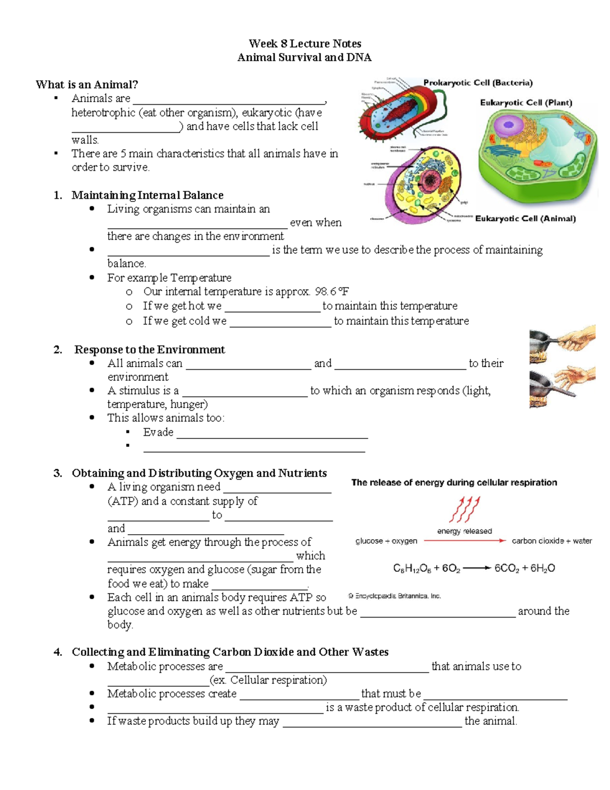 Week 8 Lecture Notes Survival and DNA - Week 8 Lecture Notes Animal ...