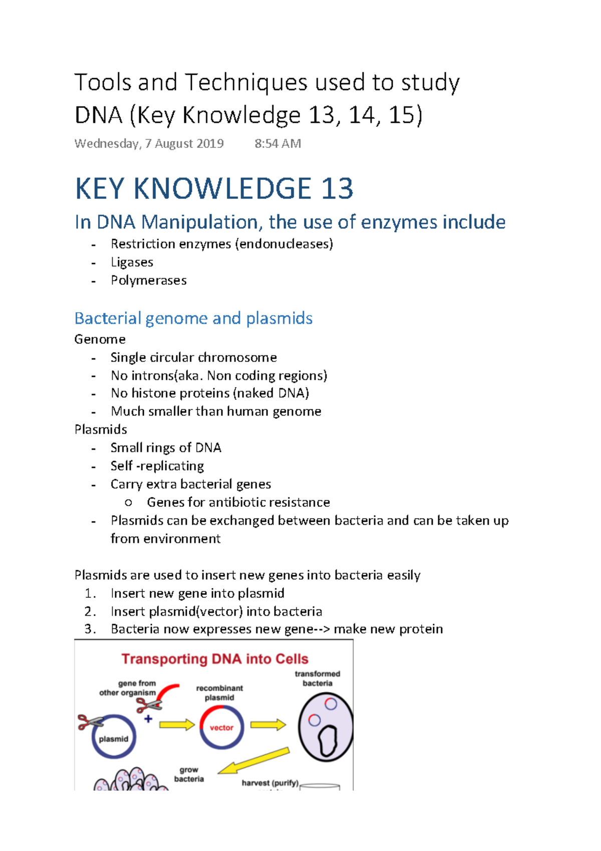 Tools and techniques for studying DNA - KEY KNOWLEDGE 13 In DNA ...