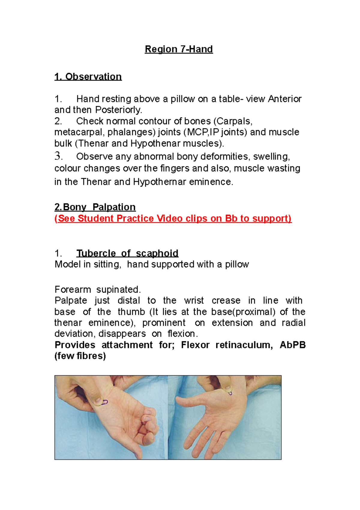 Hand anatomy practical - Region 7-Hand Observation - Studocu
