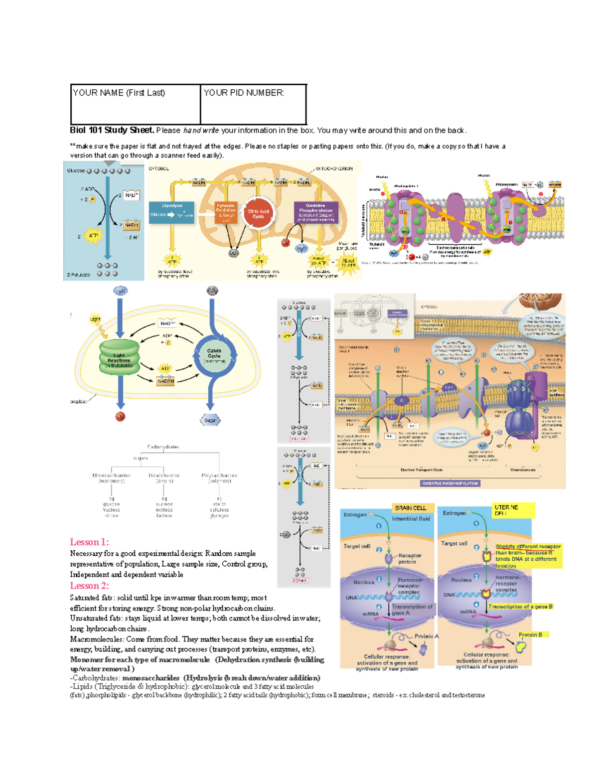 Exam 1 Sheet - notes - YOUR NAME (First Last) YOUR PID NUMBER: Biol 101 ...