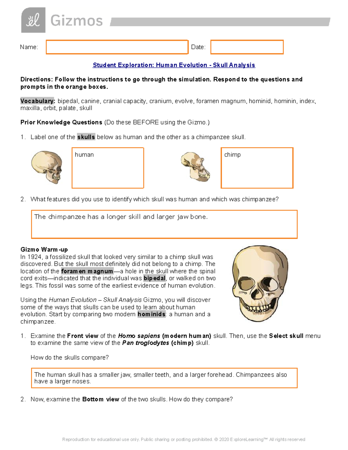 Copy of Human Evolution SE - Name: Date: Student Exploration: Human ...