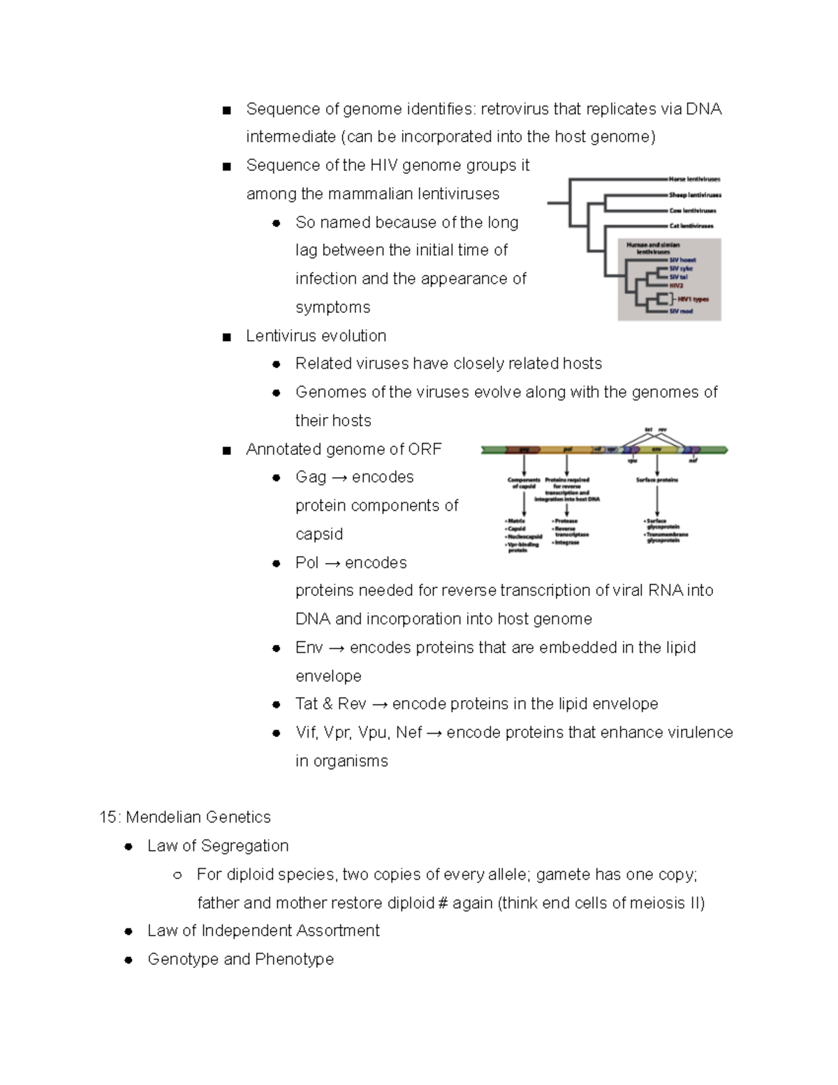 Mendelian Genetics - Ŷ 6HTXHQFH RI JHQRPH LGHQWLILHV UHWURYLUXV WKDW ...