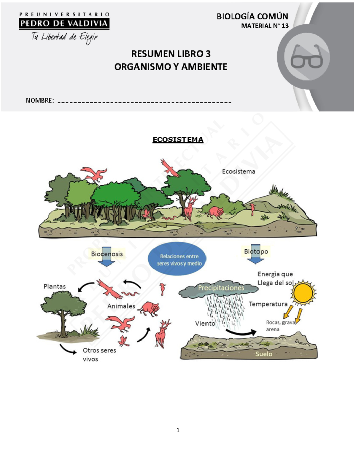 252 Material+13 Resumen Organismo+Y+ Ambiente BC++2017 7%25+ - - Studocu