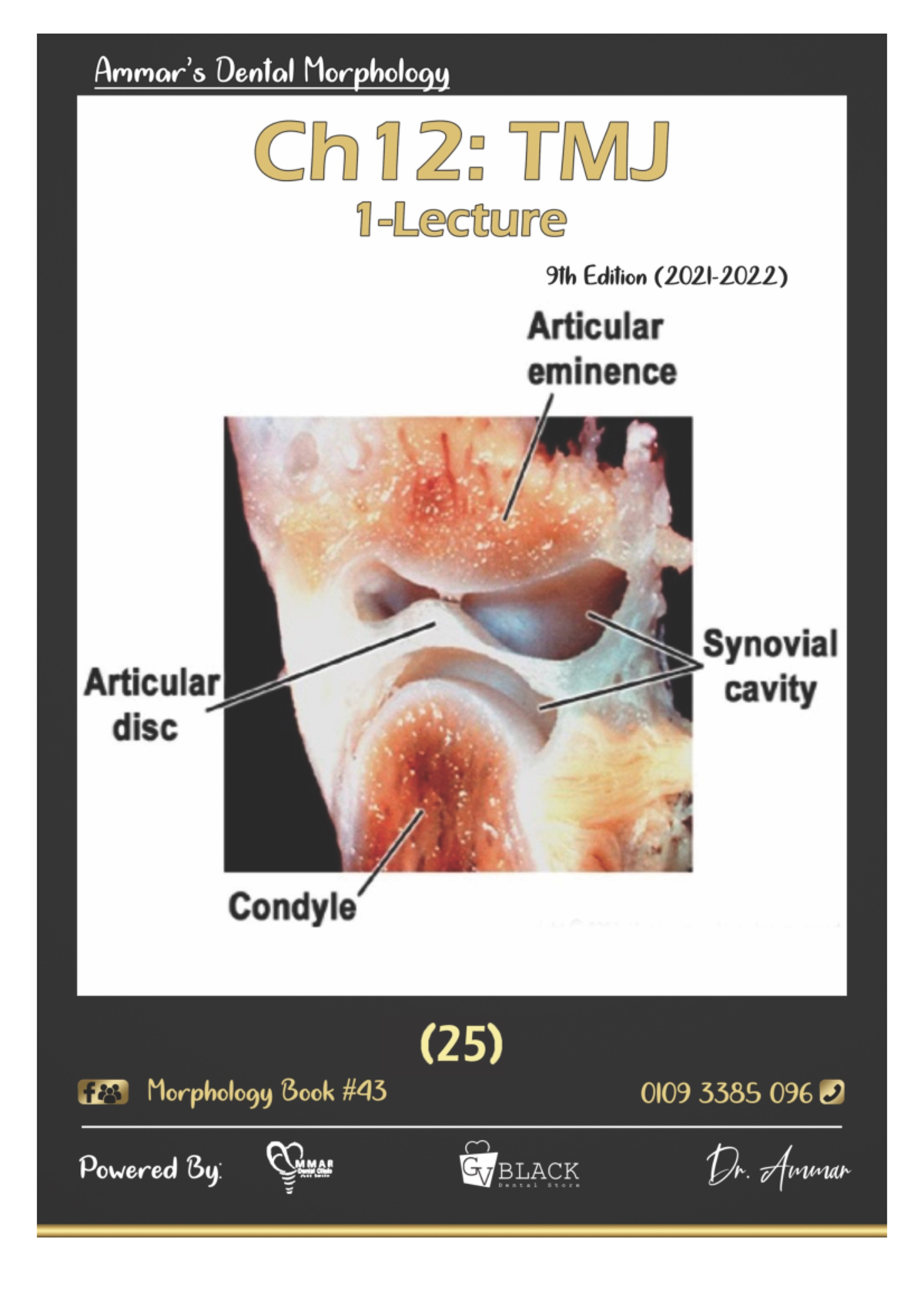 12 TMJ - Oral biology - Contents - 1-Definition & Function 2- Anatomy ...