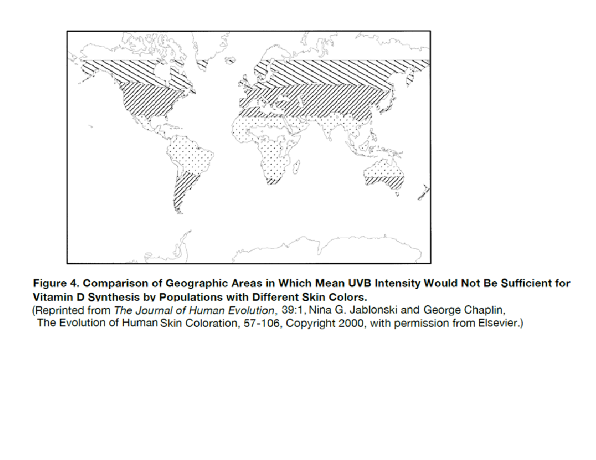 UV - Vitamin D Maps - Studocu