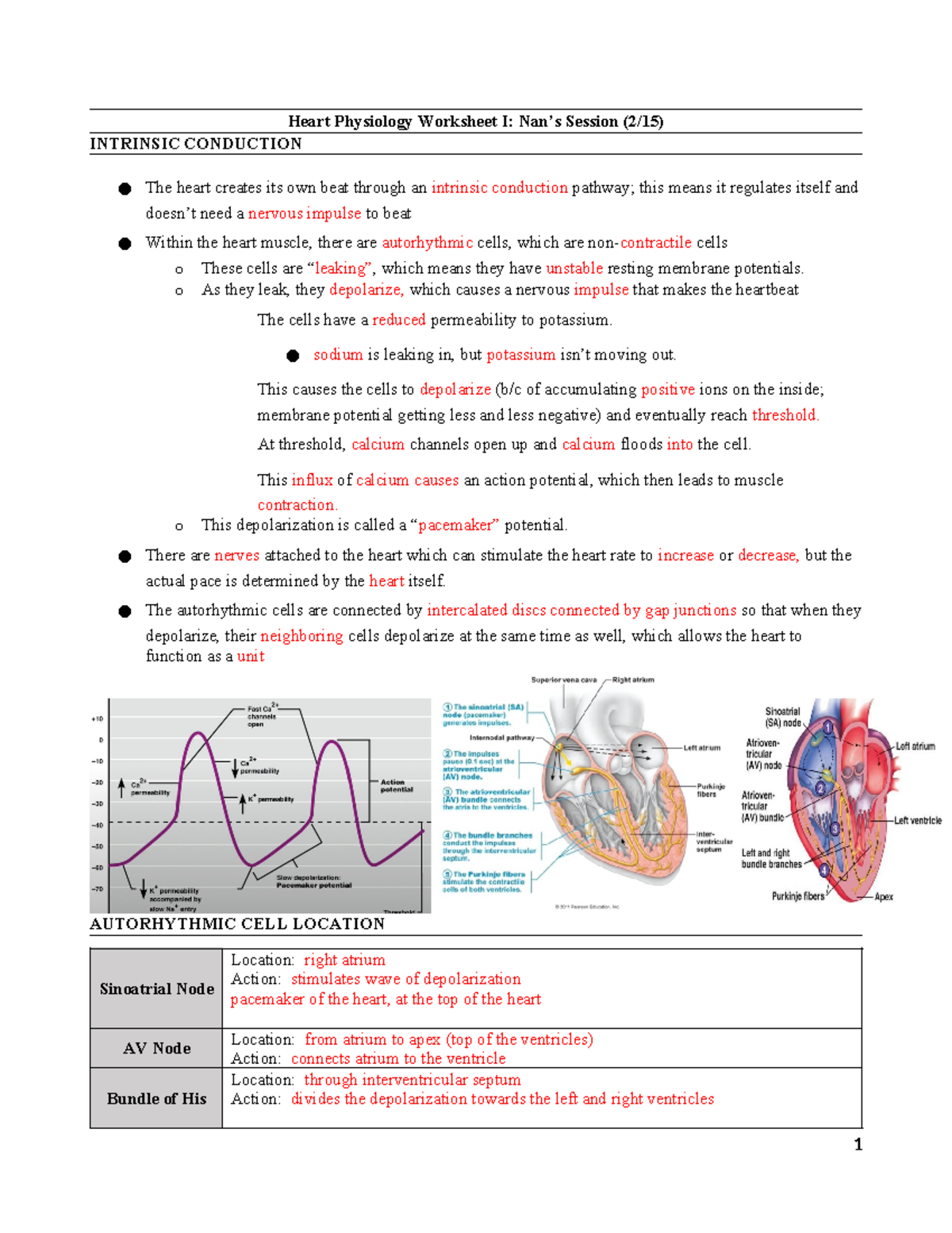Heart Physiology - Practical 1 - Heart Physiology Worksheet I: Nan’s ...