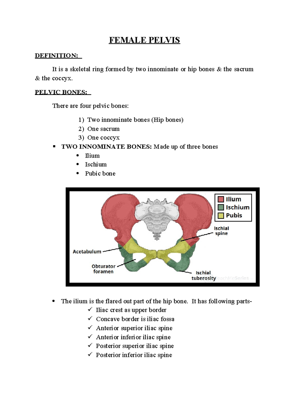 Pelvis - Parts, joints, ligaments, diameters, landmarks. - FEMALE ...