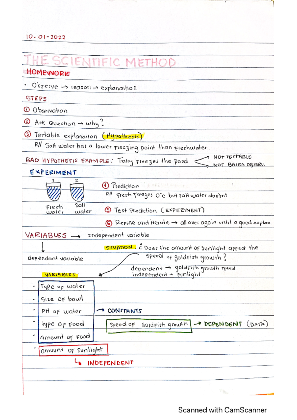 General Biology 1 Notes - BSC 2010 - Studocu