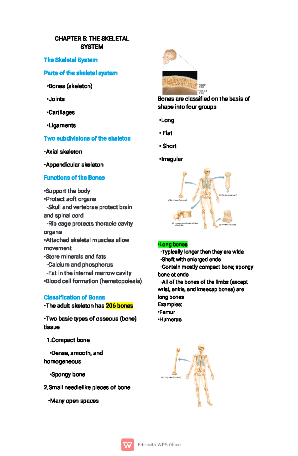 Chapter-5 -THE-WPS-Office - CHAPTER 5: THE SKELETAL SYSTEM The Skeletal ...