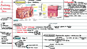 Derm Handbook Revision 2020 Final - !! British!Association!of ...