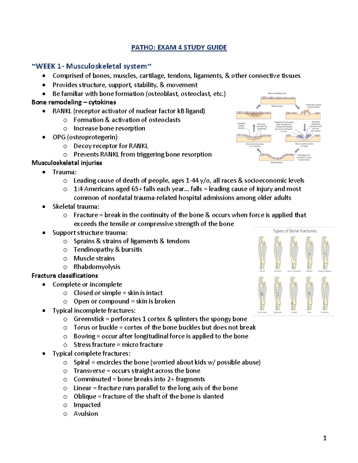 Patho- exam 4 study guide - PATHO: EXAM 4 STUDY GUIDE WEEK 1 ...