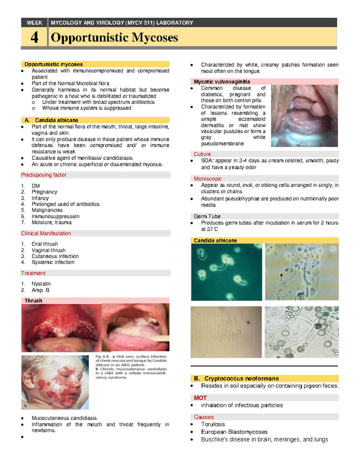MYCV LEC WK4 Opportunistic - Opportunistic mycoses Associated with ...