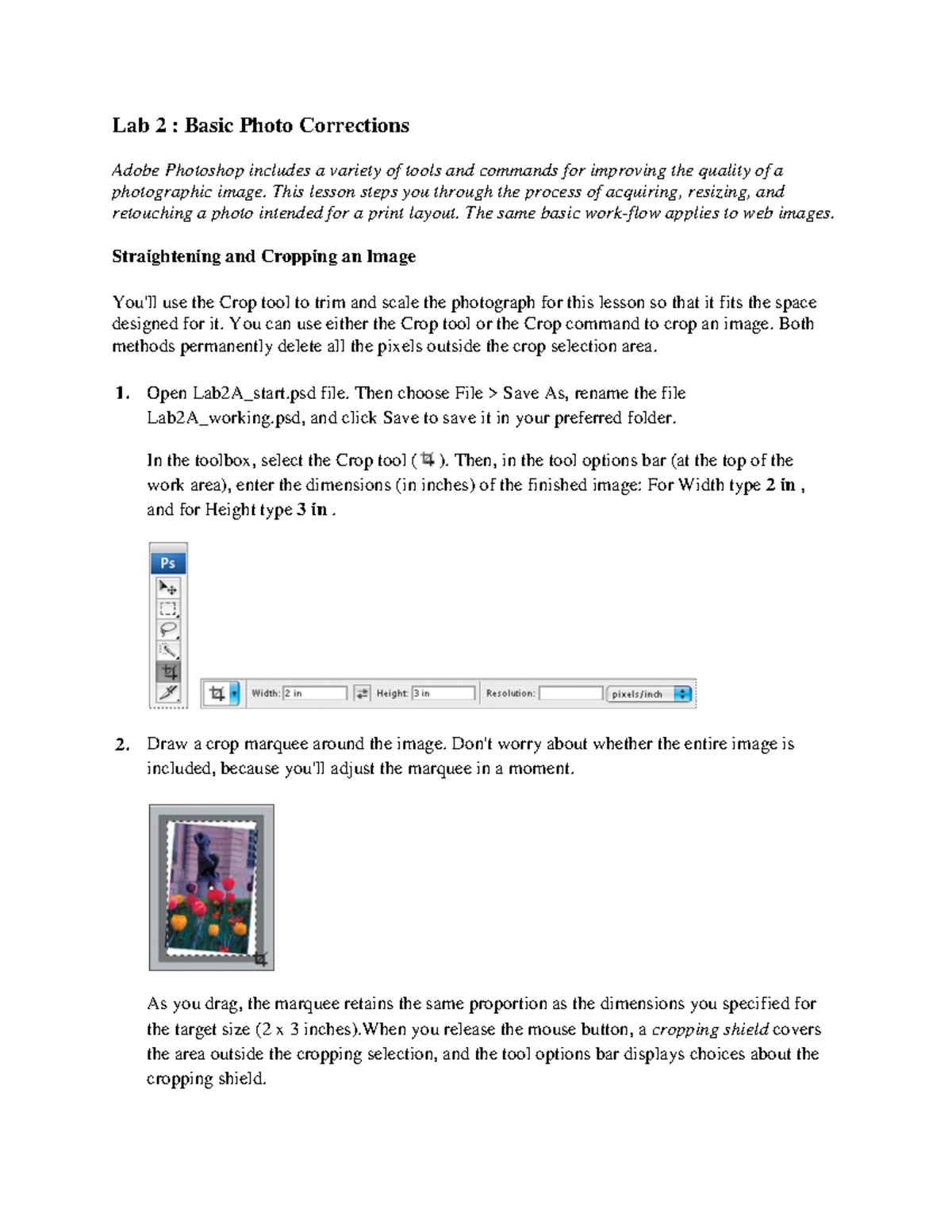 Lab 2 Basic Photo Corrections - Lab 2 : Basic Photo Corrections Adobe Photoshop includes a ...