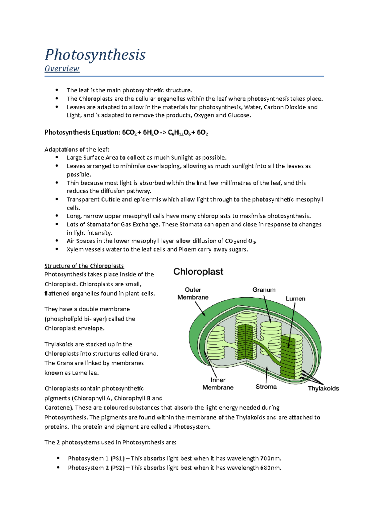 Photosynthesis Notes - Photosynthesis Overview The leaf is the main ...