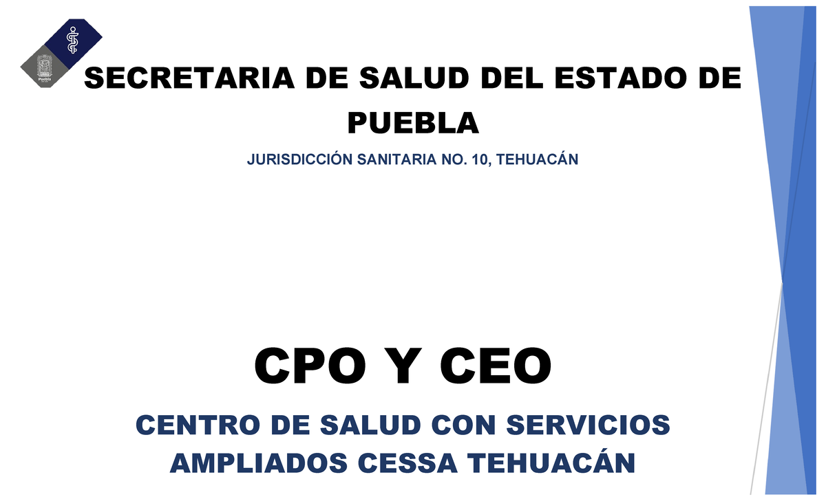 CPO Y CEO PARA Imprimir 2 - SECRETARIA DE SALUD DEL ESTADO DE PUEBLA JURISDICCIÓN SANITARIA NO ...