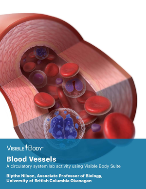Lab digestive system - Visible body lab - A. Digestive System Overview ...