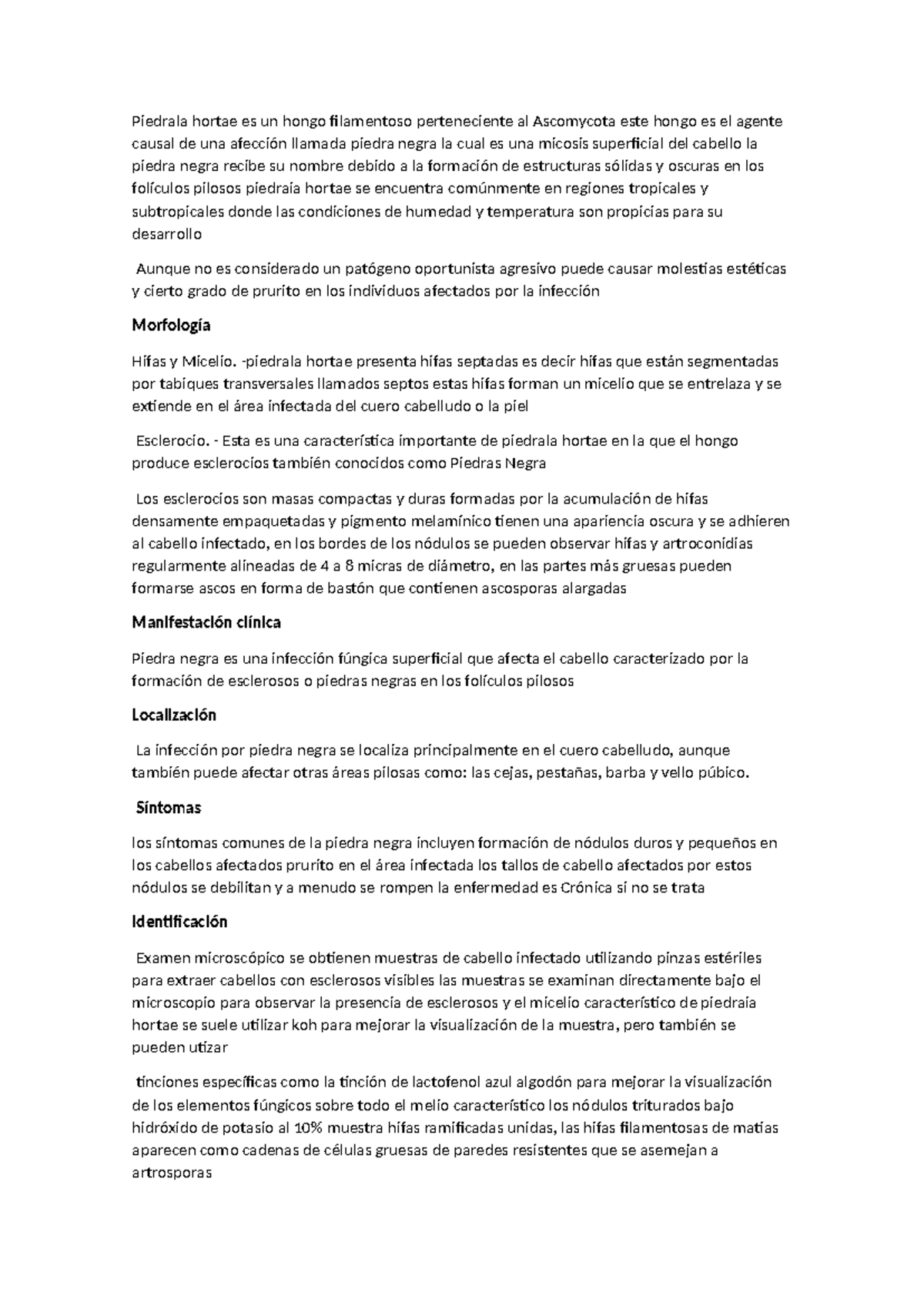 Piedra negra -piedrala hortae presenta hifas septadas es decir hifas ...