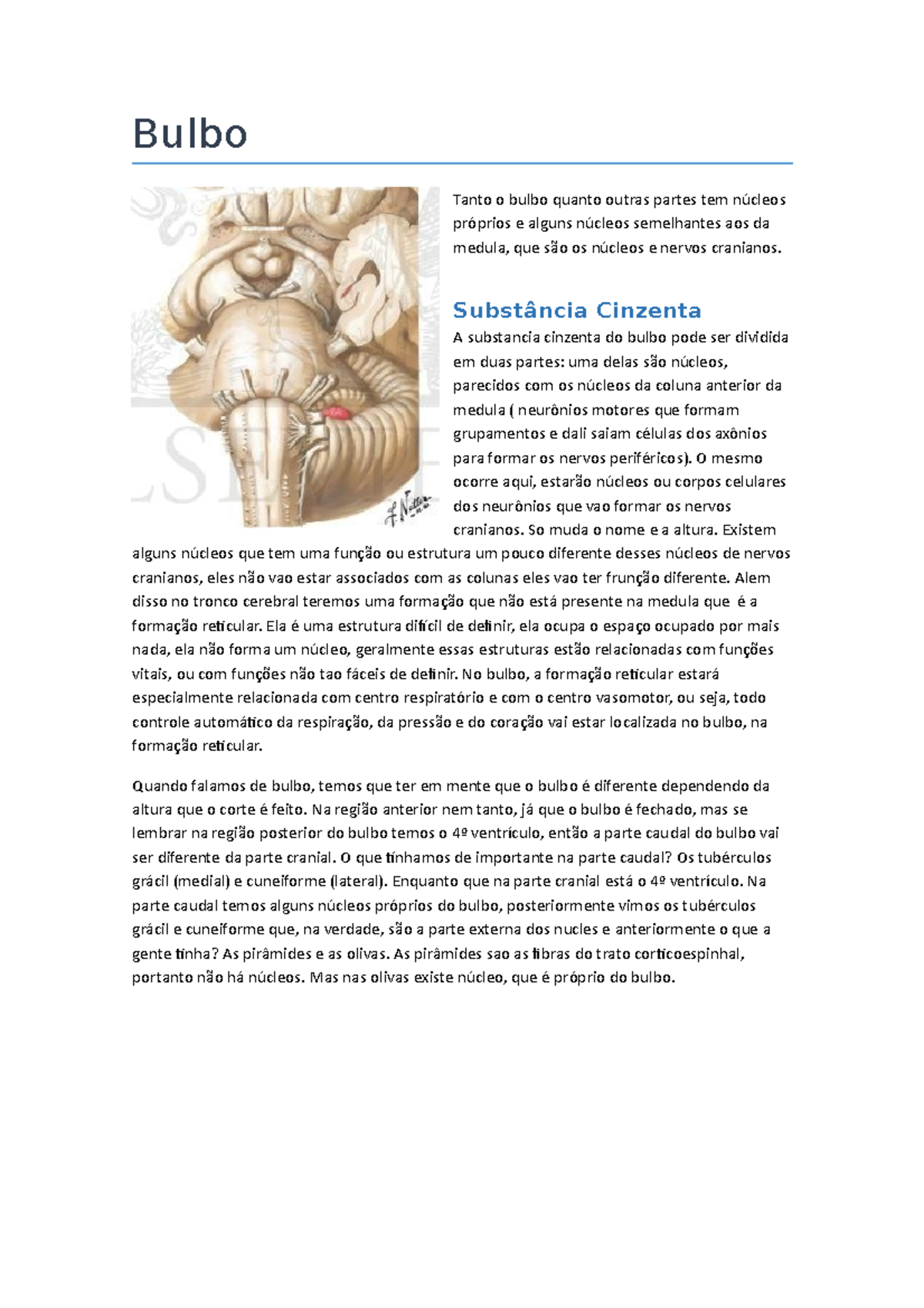 Bulbo - Aula Neuroanatomia Universidade Positivo - Bulbo Tanto o bulbo ...