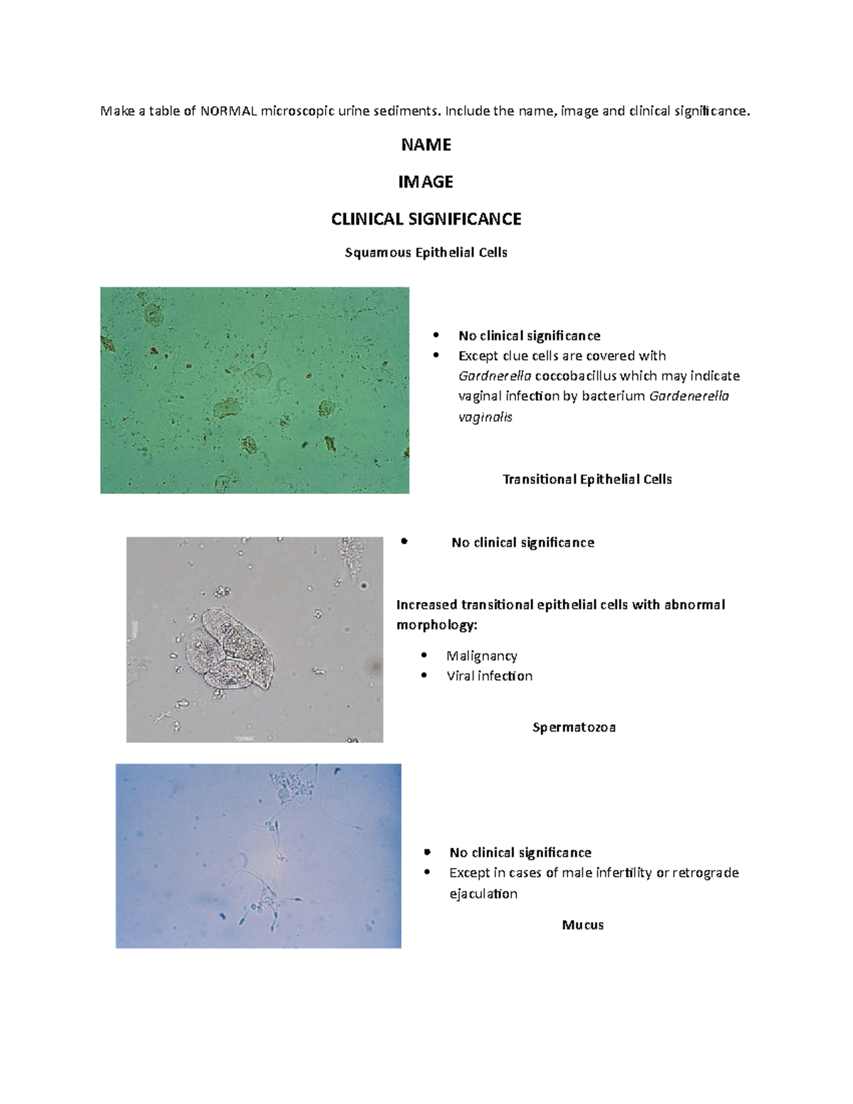 BSMT2B - Rivera, GIO TREB - Normal Urine Sediments - analysis of urine ...