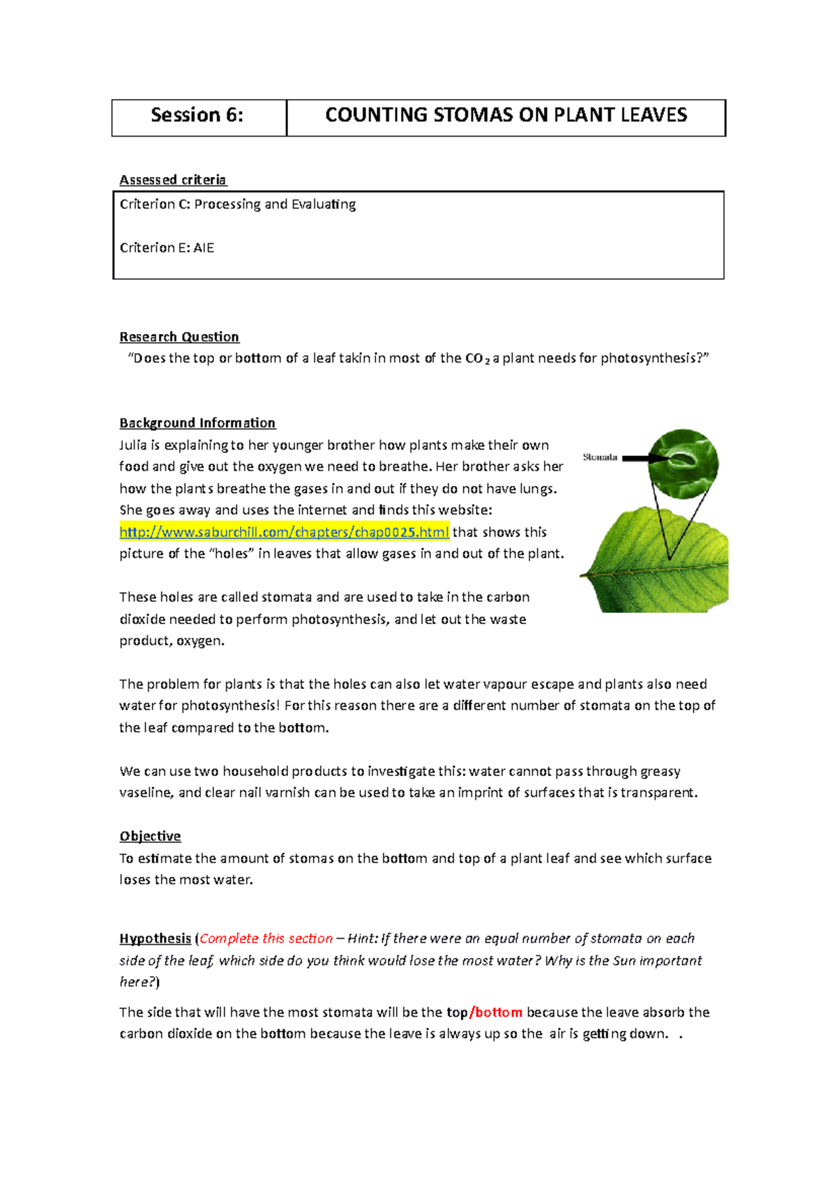 7.6 - counting stomata - aaaaaa - Session 6: COUNTING STOMAS ON PLANT ...