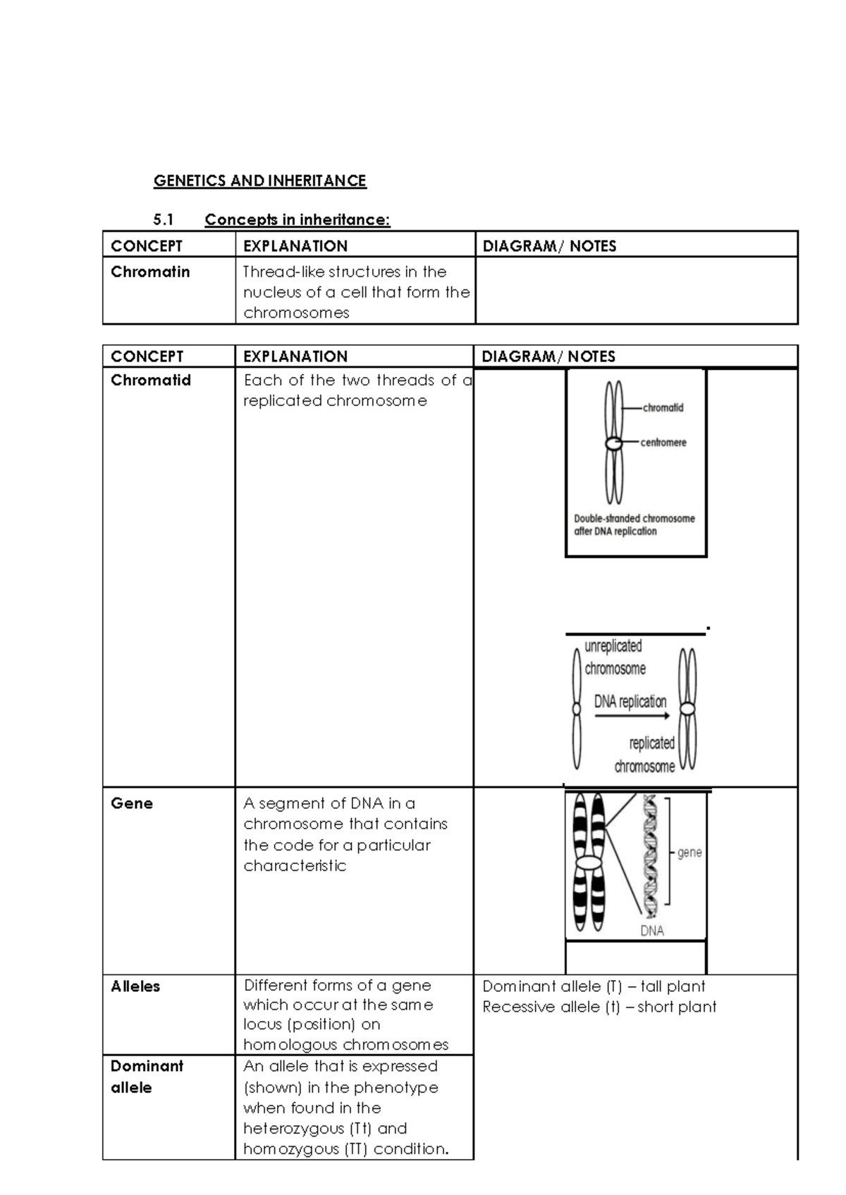 Life Sciences Grade 12 Revision notes - GENETICS AND INHERITANCE 5 ...