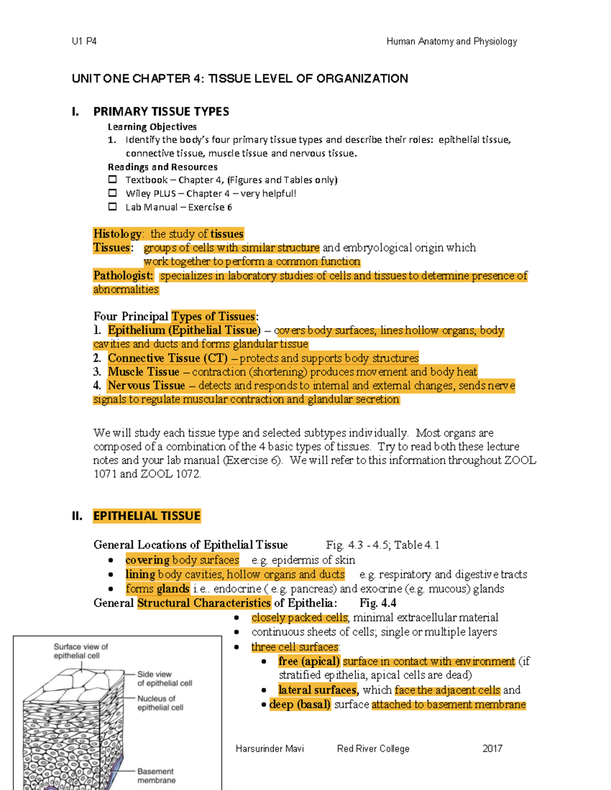 U1 P4. Tissue Level of Organization 2017 Lecture notes - U1 P4 Human ...