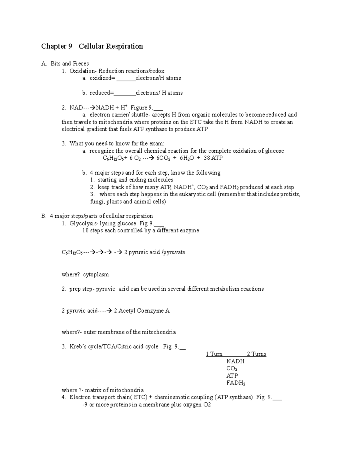 Chapter 9 Cellular Respiration Chapter 9 Cellular Respiration A Bits chapter-9-cellular-respiration-chapter-9-cellular-respiration-a-bits