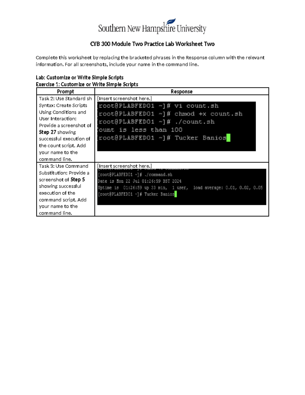 CYB 300 Module 2-2 Banios - CYB 300 Module Two Practice Lab Worksheet ...