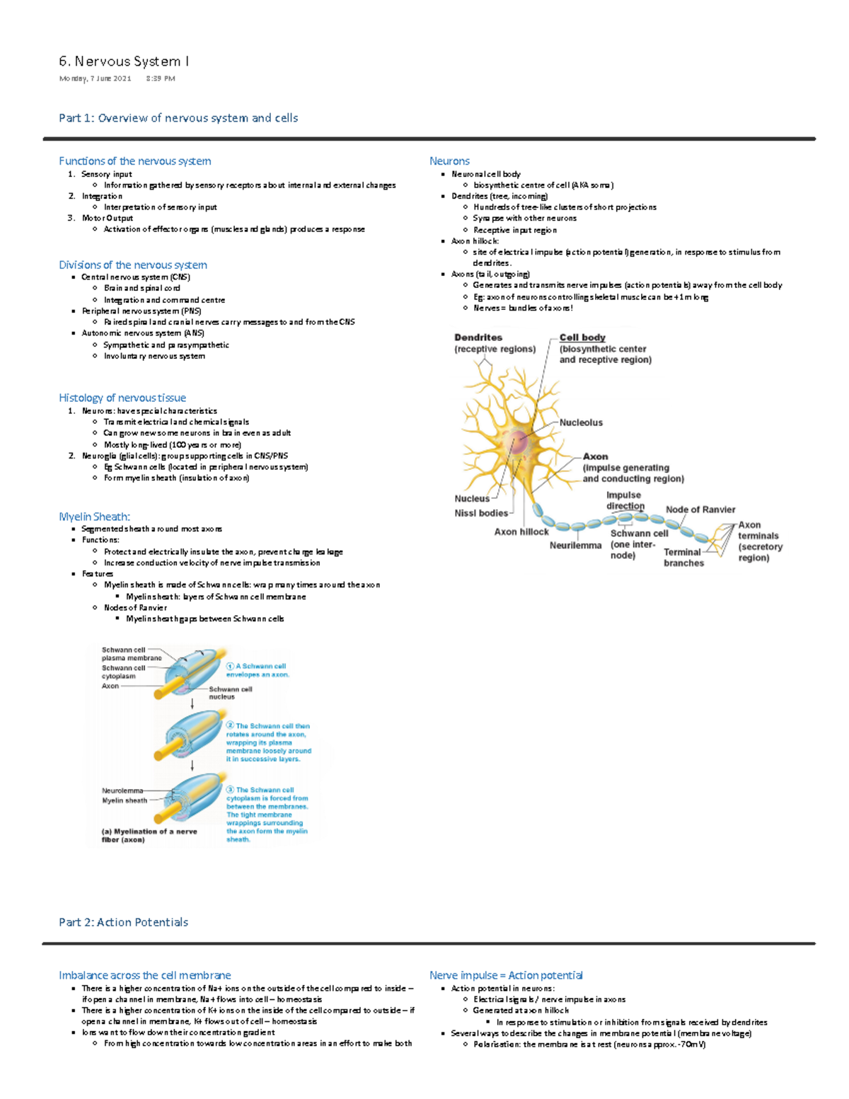 MEDI100 - Nervous System I Lecture Notes - Part 1: Overview of nervous ...