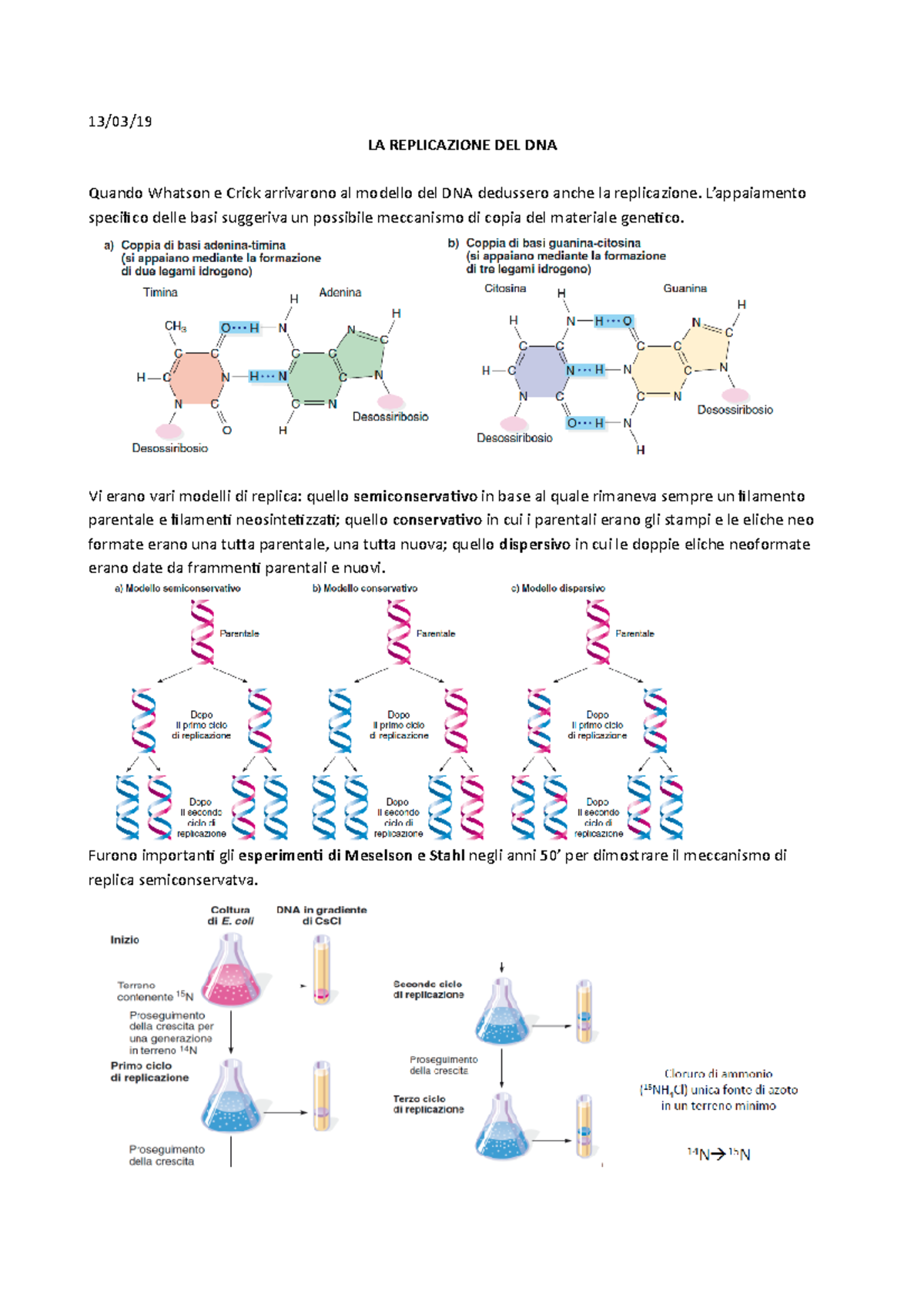 6- replicazione DNA - 13/03/ LA REPLICAZIONE DEL DNA Quando Whatson e ...