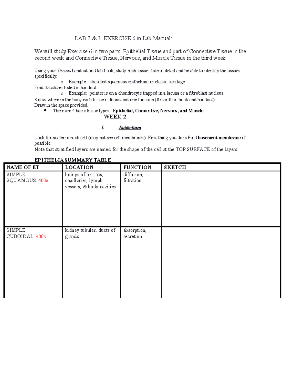EXercise 6-Tissues LIST doc - LAB 2 & 3. EXERCISE 6 in Lab Manual: We ...