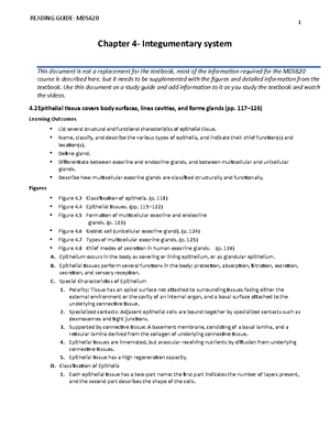 Reading guide Chapter 1 - 1 Chapter 1 – The language of anatomy 1 Form ...