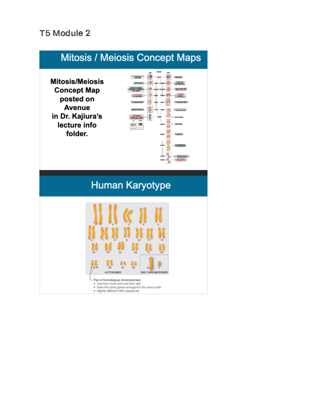 T5 Module 2 - notes - Biology 1A03 - T5 Module - Studocu