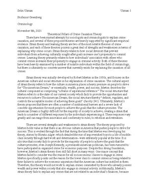 CRIM - Paper 1 - Essay comparing the many theories that exist to ...