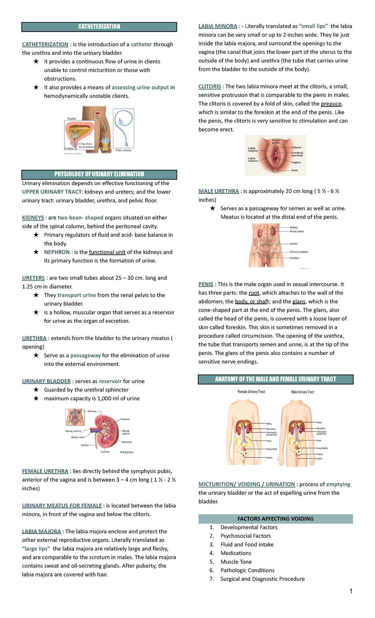 03 Catheterization - CATHETERIZATION CATHETERIZATION : is the ...