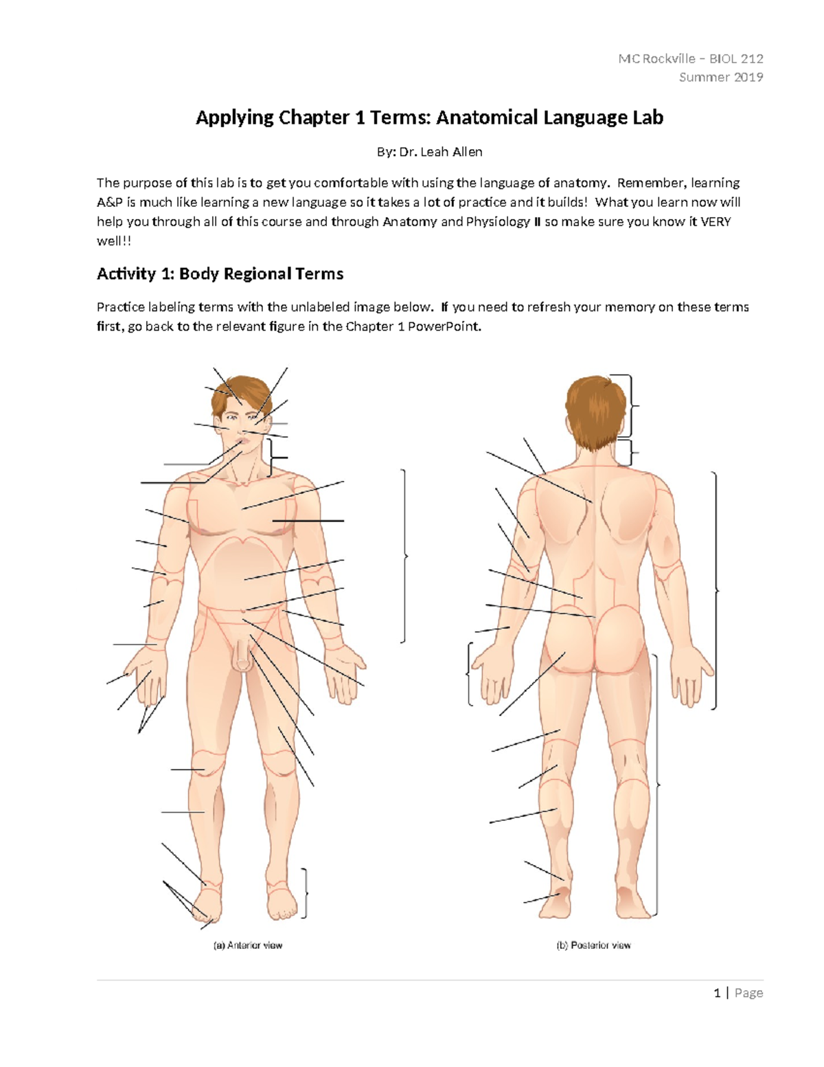 Applying Chapter 1 Terms - Summer 2019 Applying Chapter 1 Terms: Anatomical Language Lab By: Dr ...