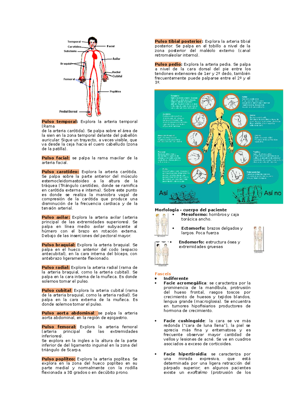 EF general - EF segmentario cabeza y cuello - Pulso temporal: Explora ...