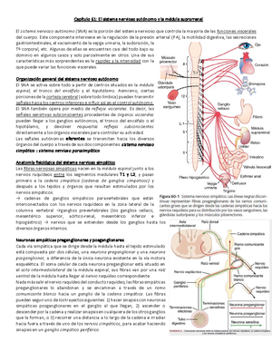 Capitulo 46 guyton- Organizacion de SN, funciones básicas de la sinapsis y neurotransmisores ...