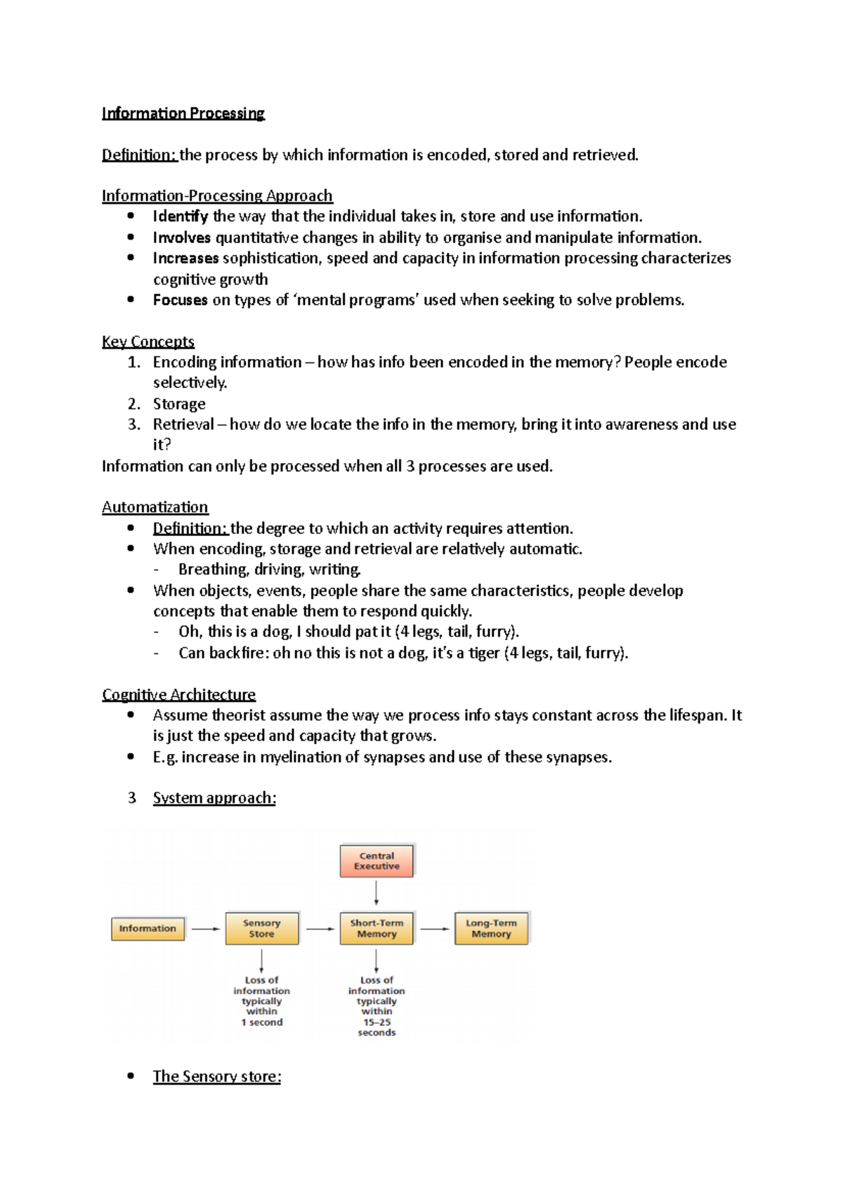 Information Processing - Information Processing Definition: the process ...