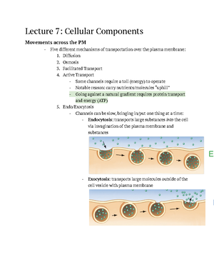 BIO129 LEC Lesson 6 - Dr. David Hoekstra - Lecture 6: Cellular Processes Nucleic Acids (cont ...