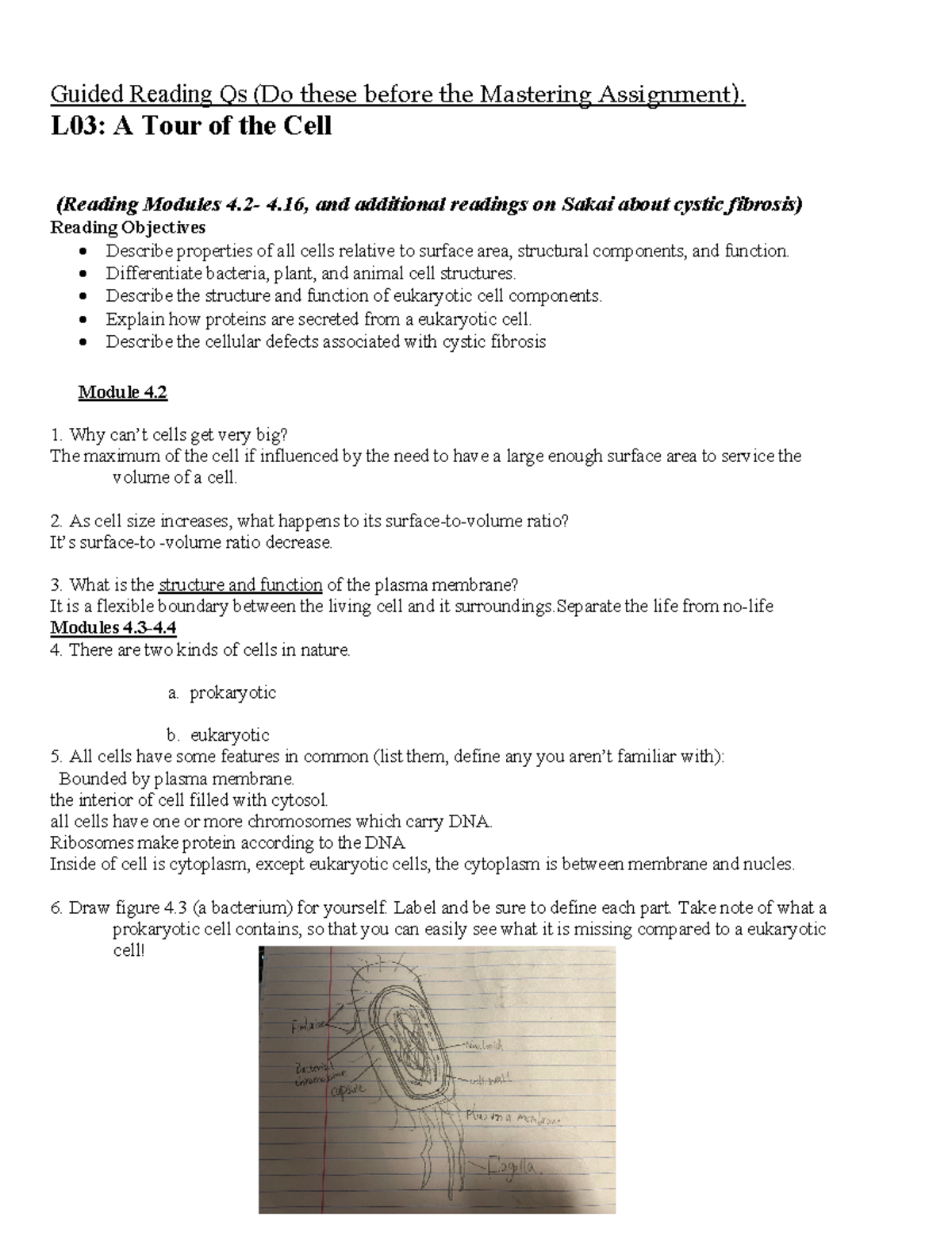 Lesson++3 GRQs Cell - Guided Reading Qs (Do these before the Mastering ...