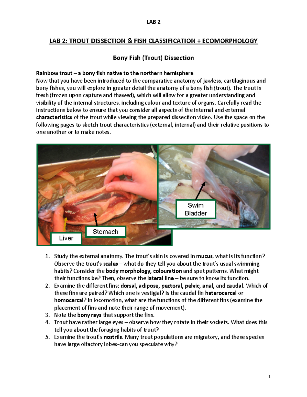 BIOL330 Lab 2 - Lab 2 manual - LAB 2: TROUT DISSECTION & FISH ...
