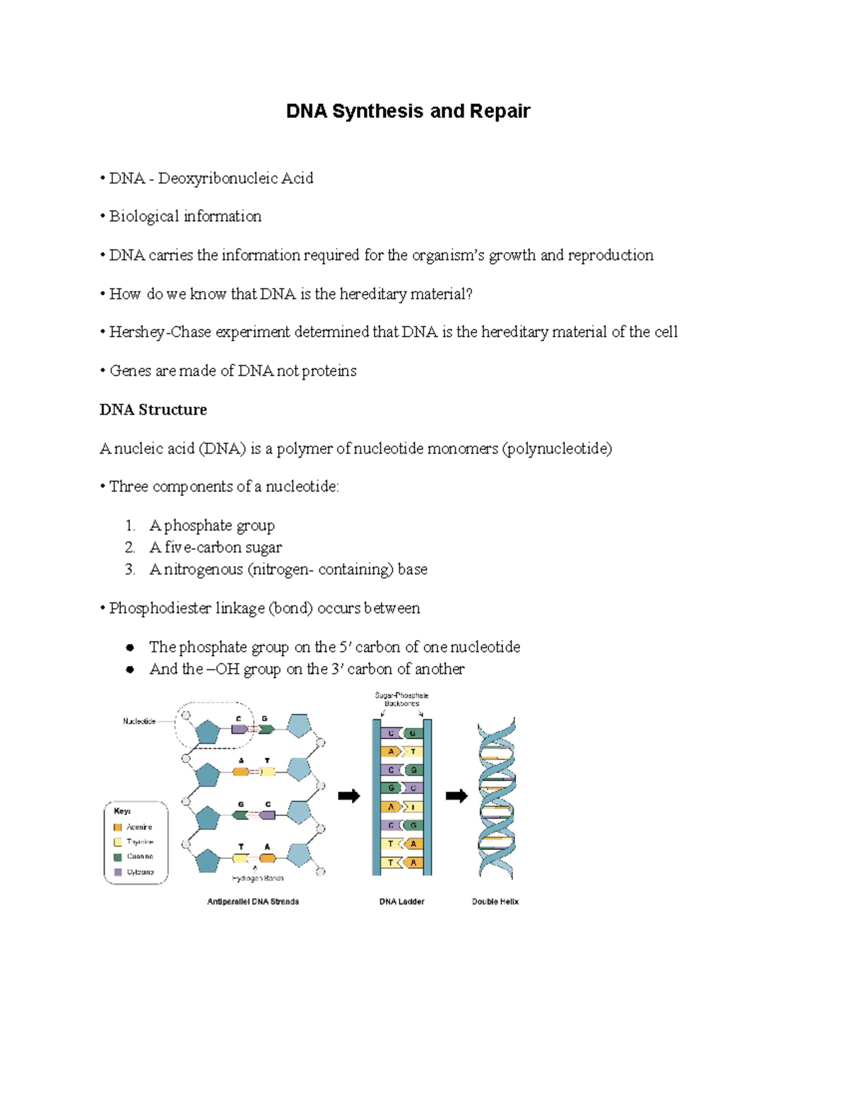 Chapter 15 - This sheet is just from the lecture slides that Dr. Patel ...
