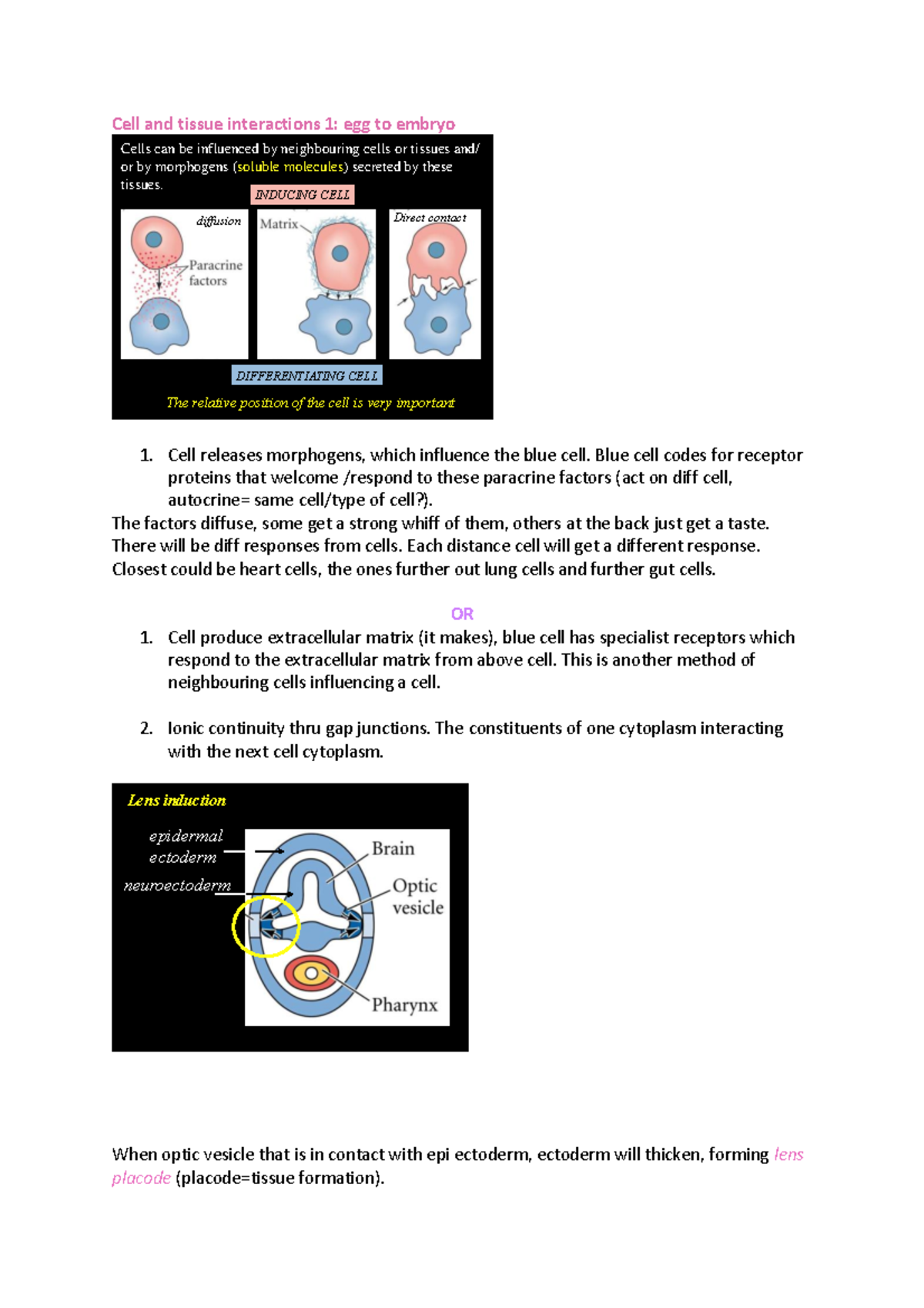 Cell and tissue interactions 1-Anat2008 - Warning: TT: undefined function: 32 Cell and tissue ...